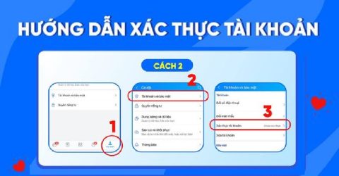 Zalo Video Creator là gì? Hướng dẫn đăng ký Zalo Video Creator mới nhất ...