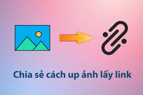 Top 10 web up ảnh lấy link bạn nhất định không được bỏ qua - MHD Media