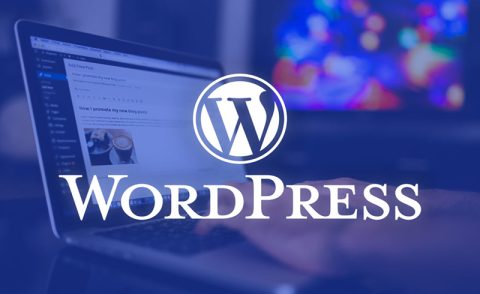 WordPress là gì? Tổng quan chi tiết về nền tảng website phổ biến nhất năm 2025 - MHD Media
